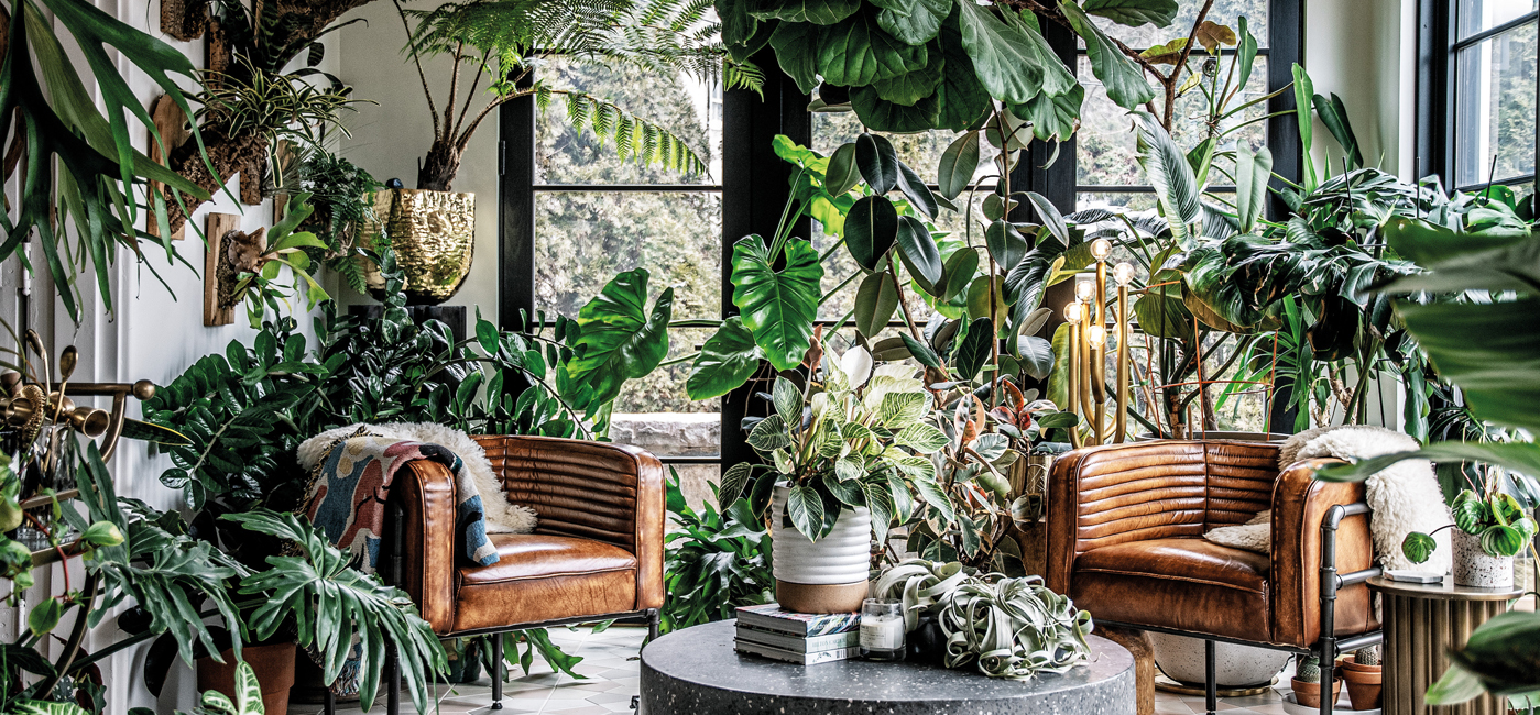 Grandeur Unveiled: Elevate Your Entryway with Luxurious Interior Design ...